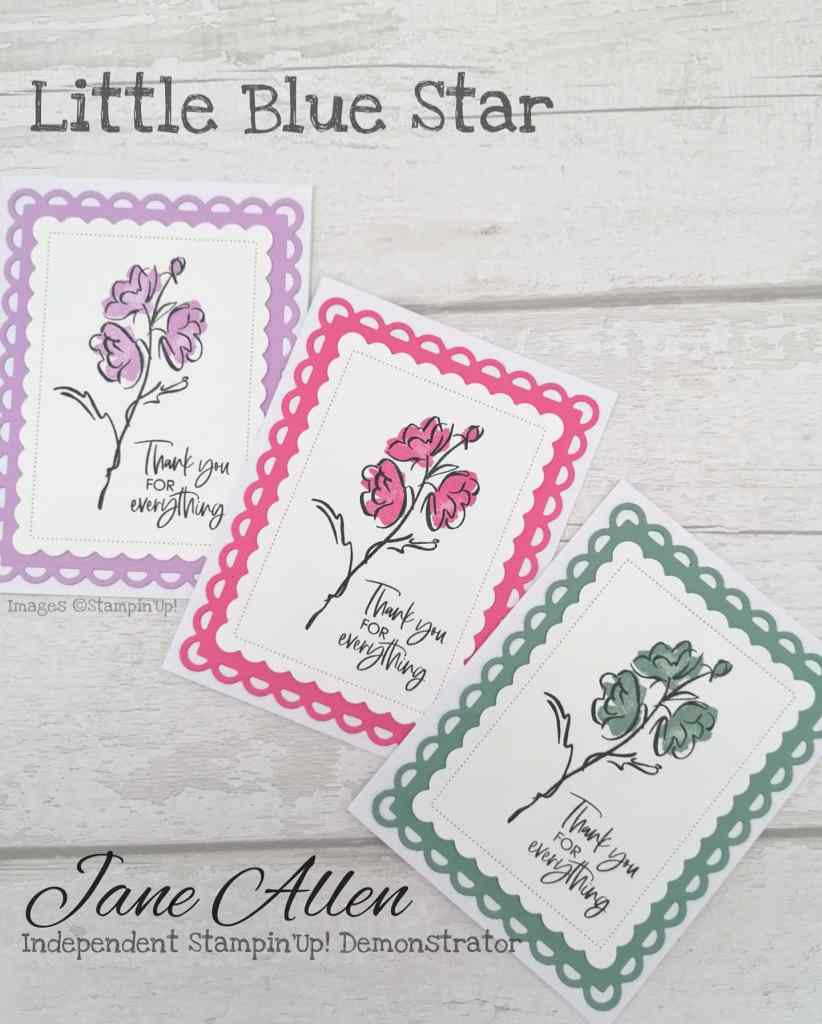 A few more ‘Color and contour’ cards… – Little Blue Star Cards