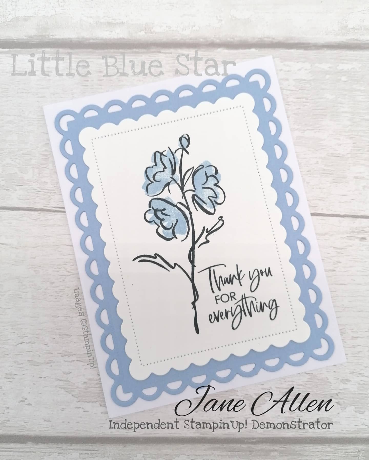 A few more ‘Color and contour’ cards… – Little Blue Star Cards